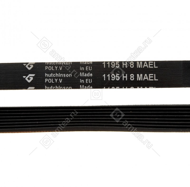 Купить Ремень 1195 H8 стиральной машины Ariston, Indesit в интернет ...