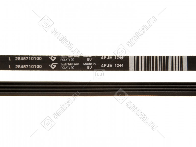 Купить Ремень 1244 J4 стиральной машины в интернет-магазине Амтеа ...